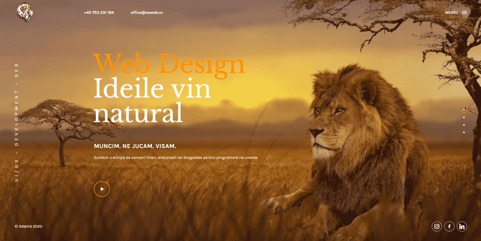 saWEB Design & Development | Site Design | Magazin Online